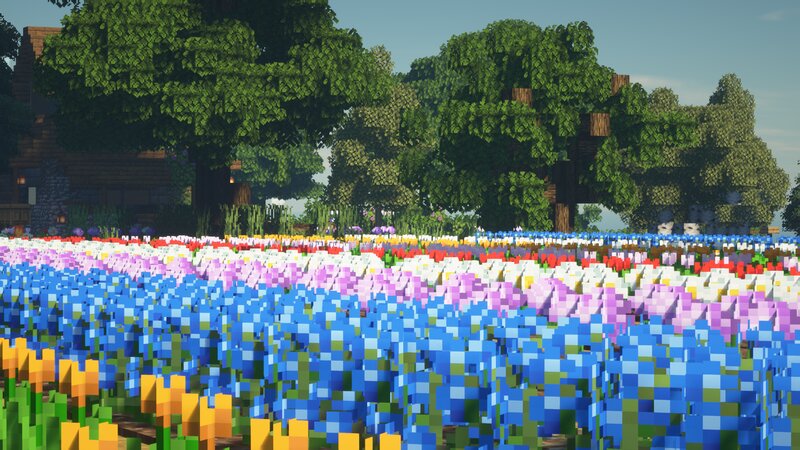 Come chill at the most peaceful place on Earth Minecraft Map