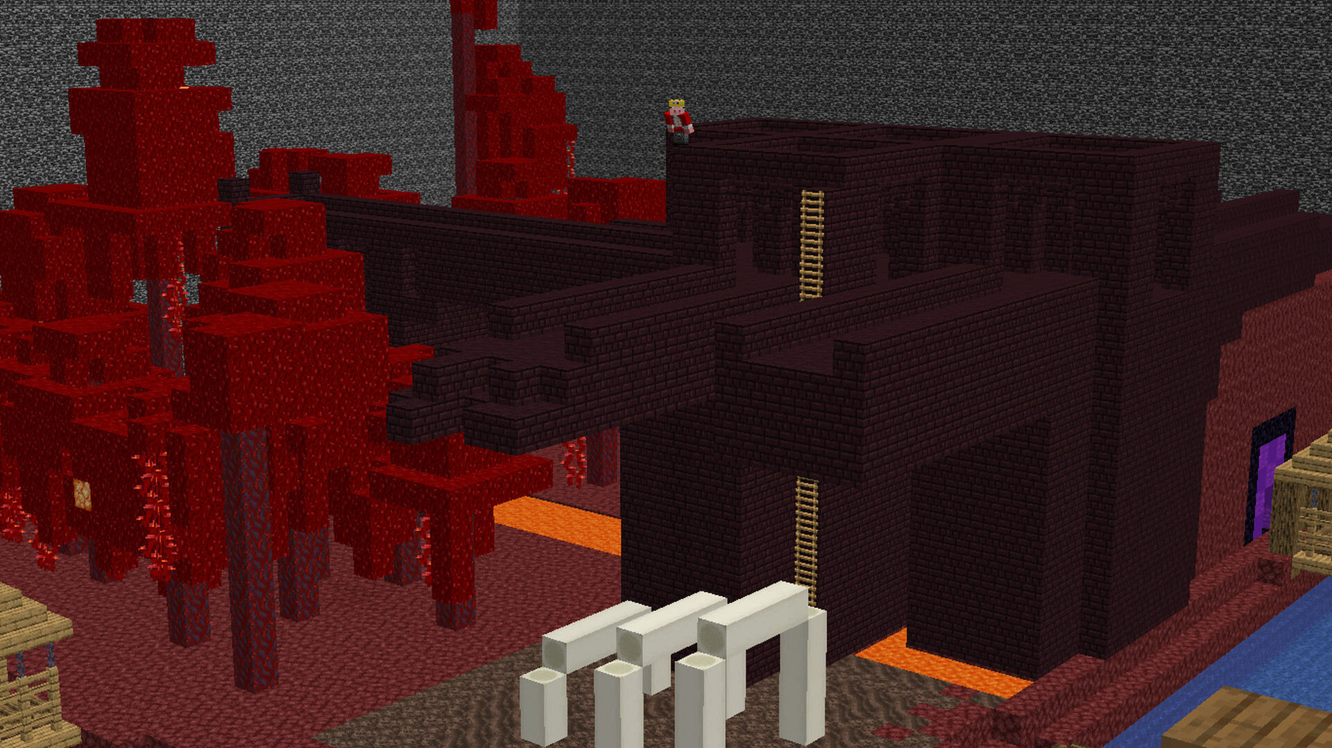 Hide N seek map 4 biomes By_Dream NEW UPDATE !!!! Minecraft Map