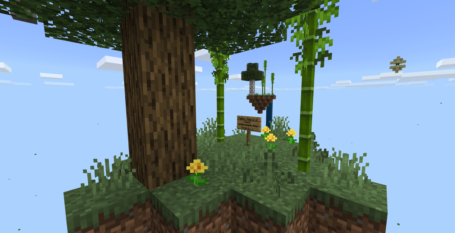 SKYBLOCK 2.0!!1!!!!1!!!1!1! Minecraft Map