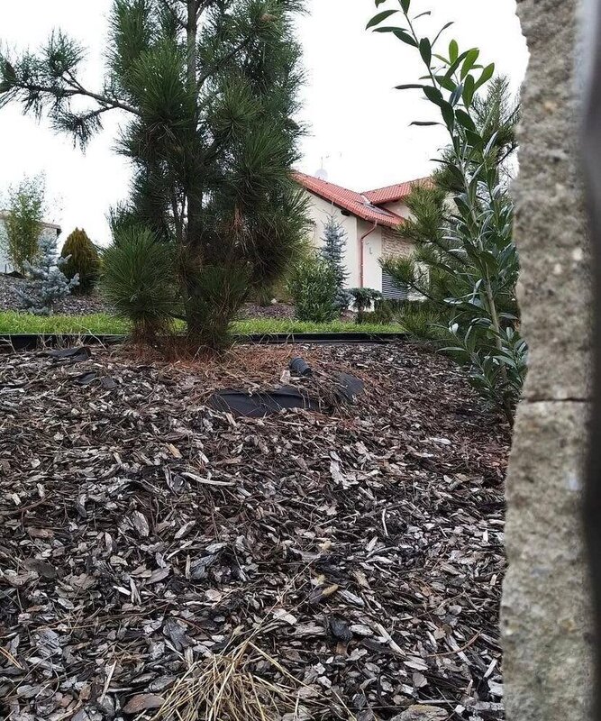 Modern House | Baxtrix,Artix,House Minecraft Map