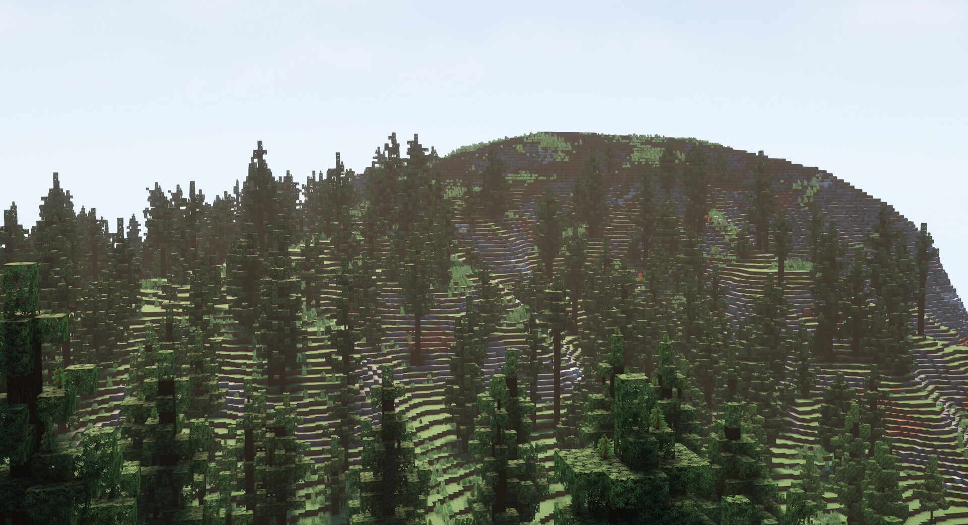 Taiga & Plains Minecraft Map