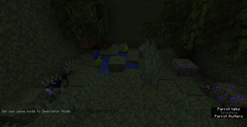 Wilderness Room Minecraft Map