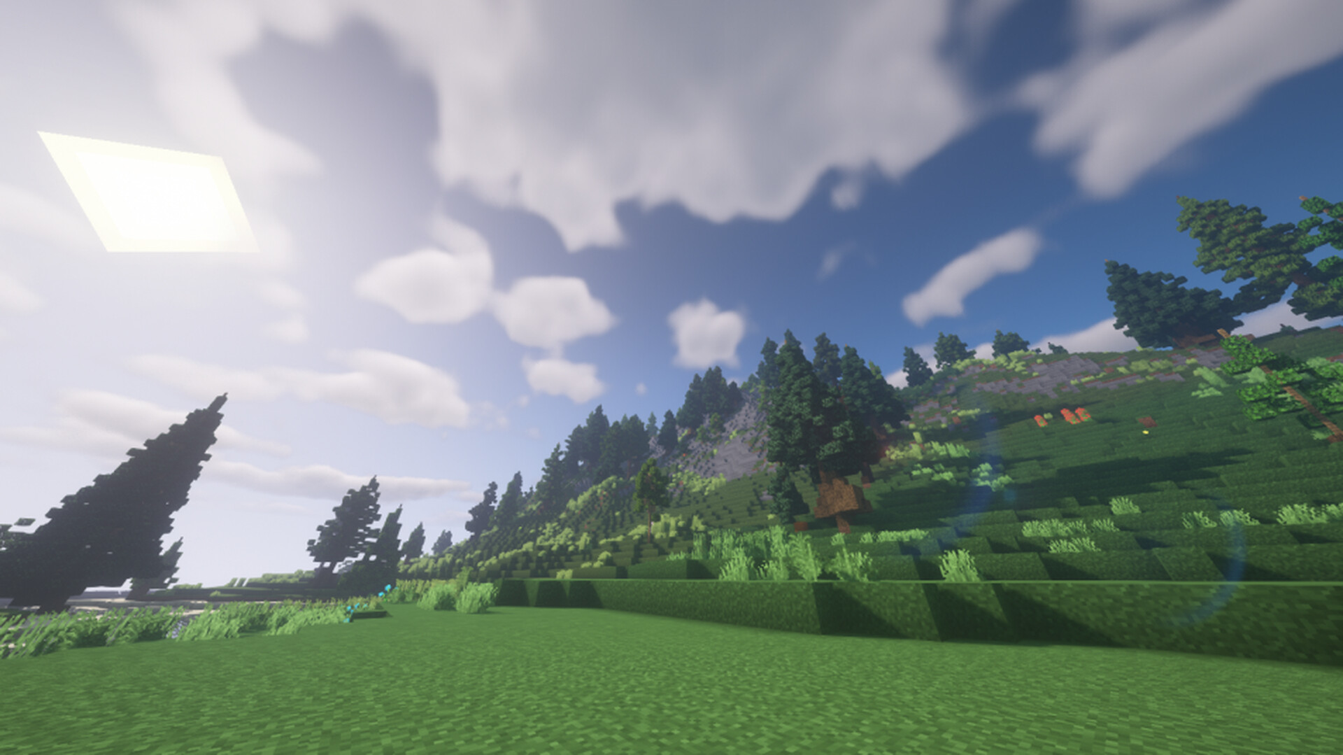 The forest island Minecraft Map