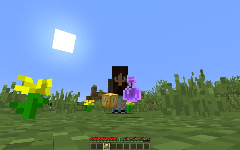 Vindicator Challenge Games Minecraft Map