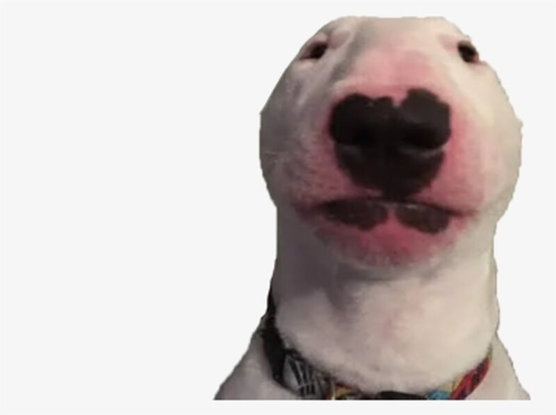 send this world to your friends Minecraft Map