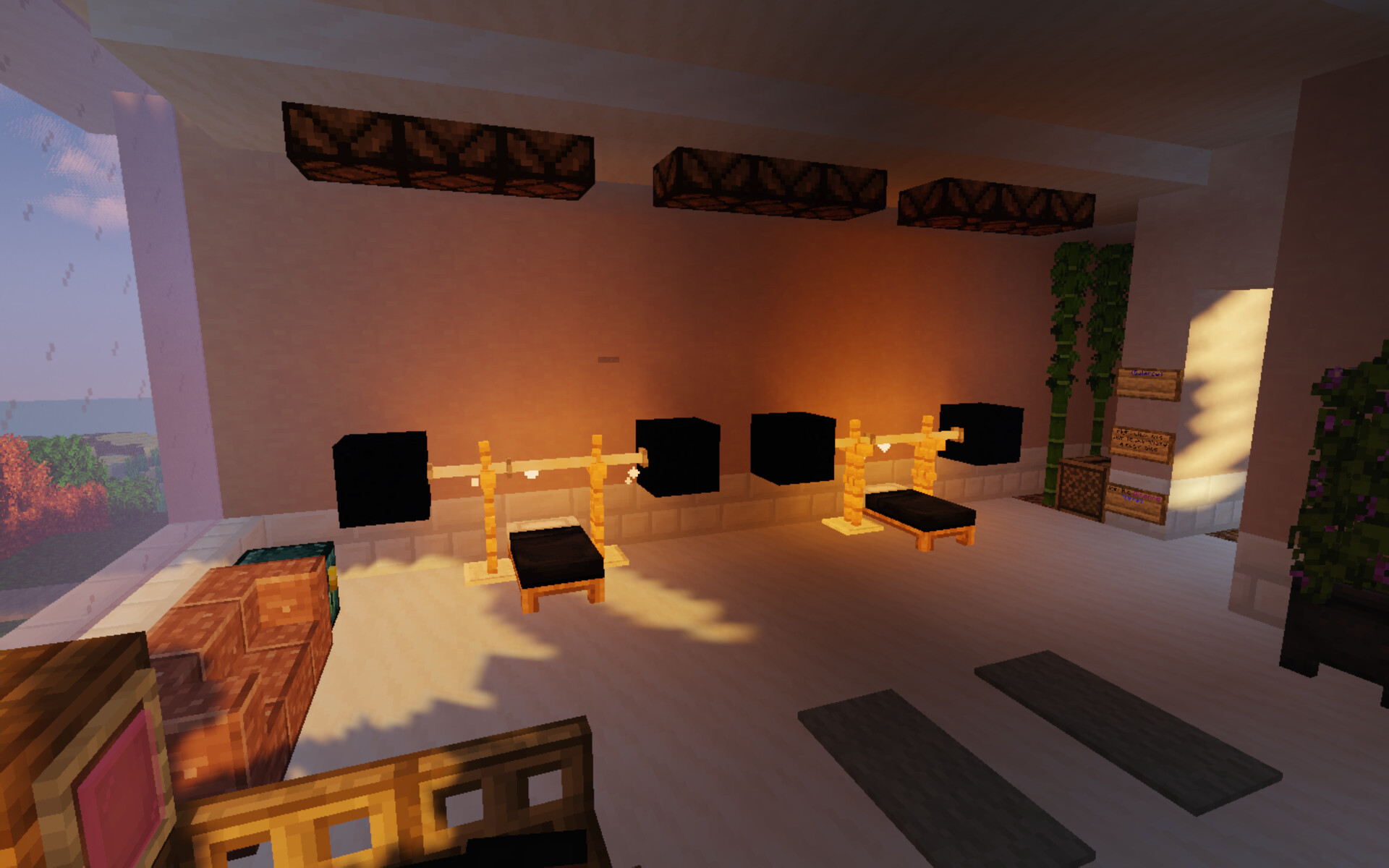 The Gym Minecraft Map
