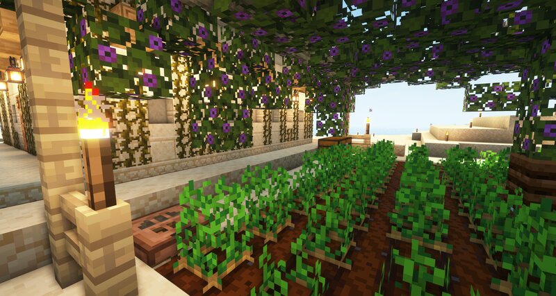 Desert Small Farm #3 Minecraft Map