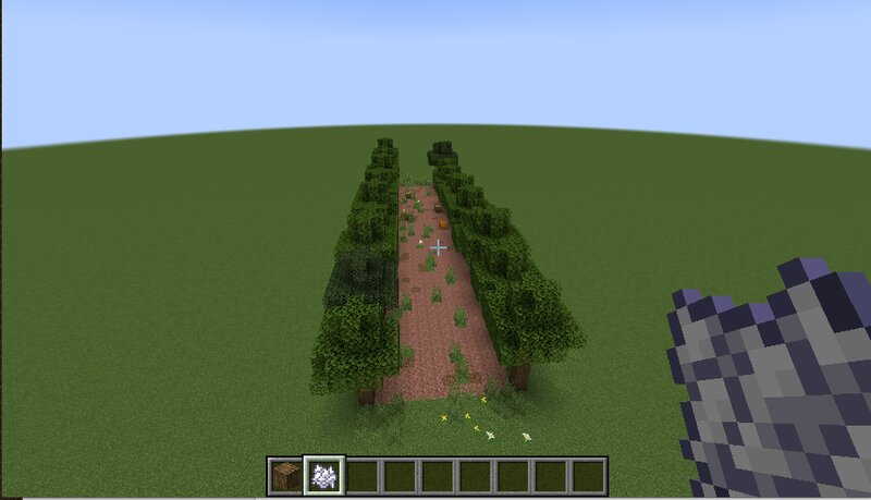 Forest Path Minecraft Map
