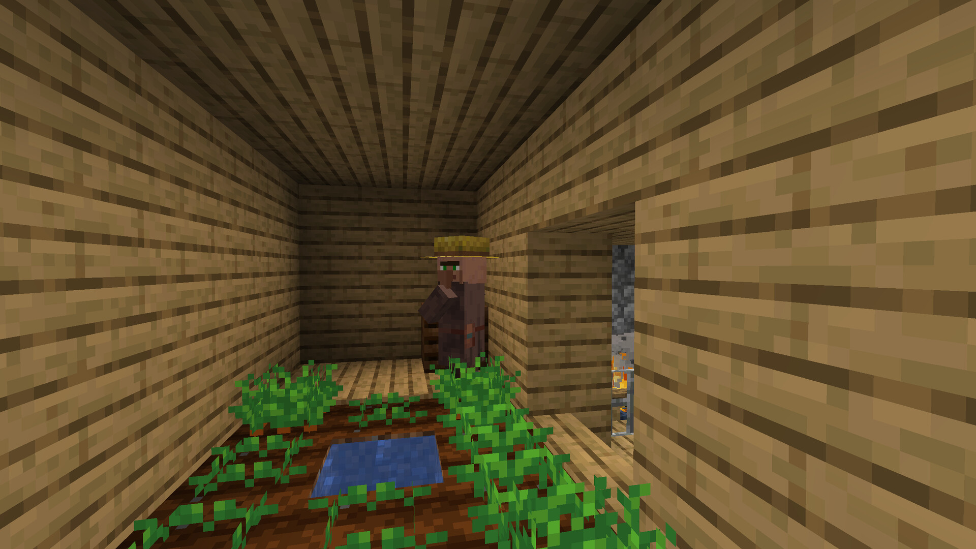 Villager Colony Minecraft Map