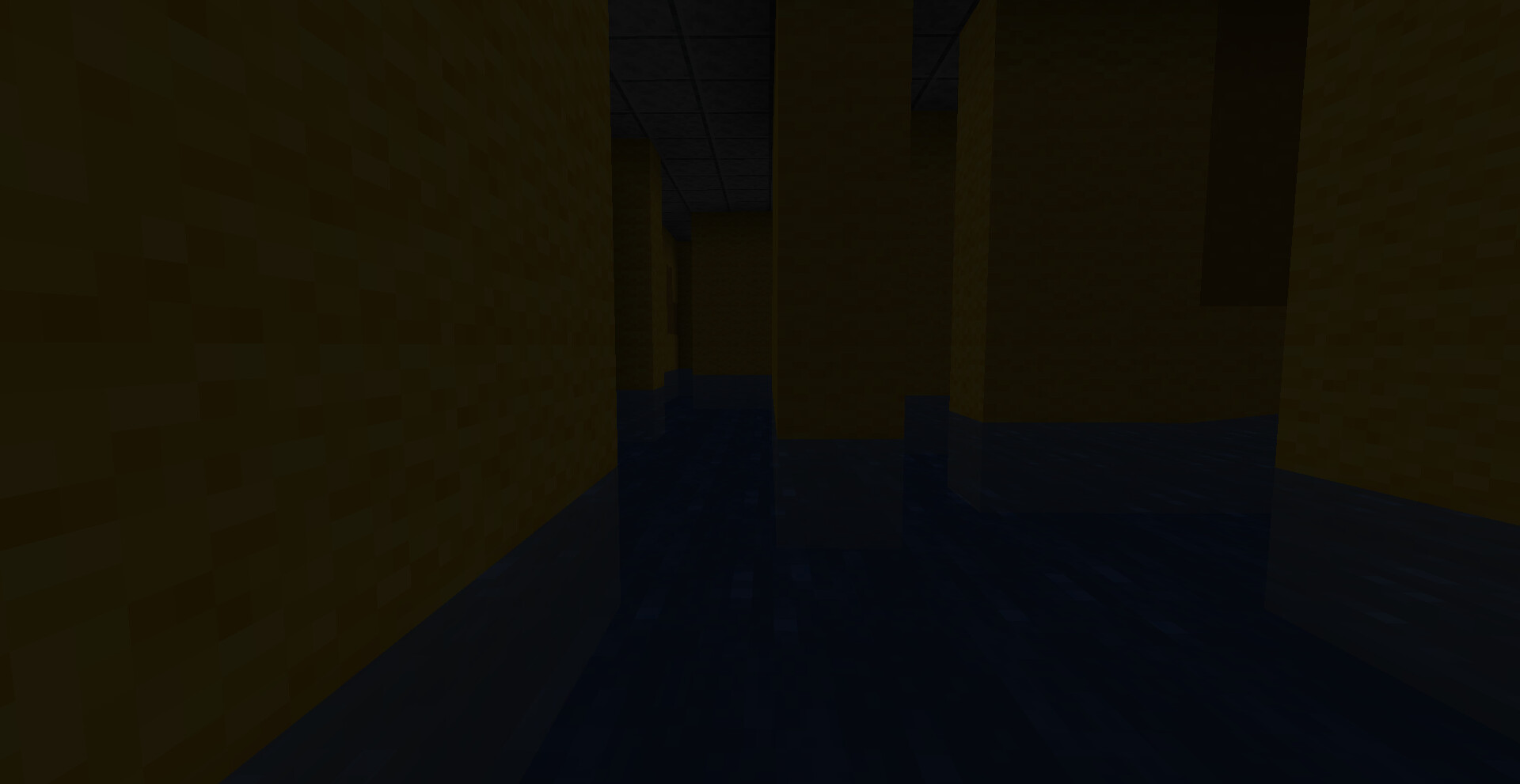 Backrooms Level 0.111 " Water Damage " Minecraft Map