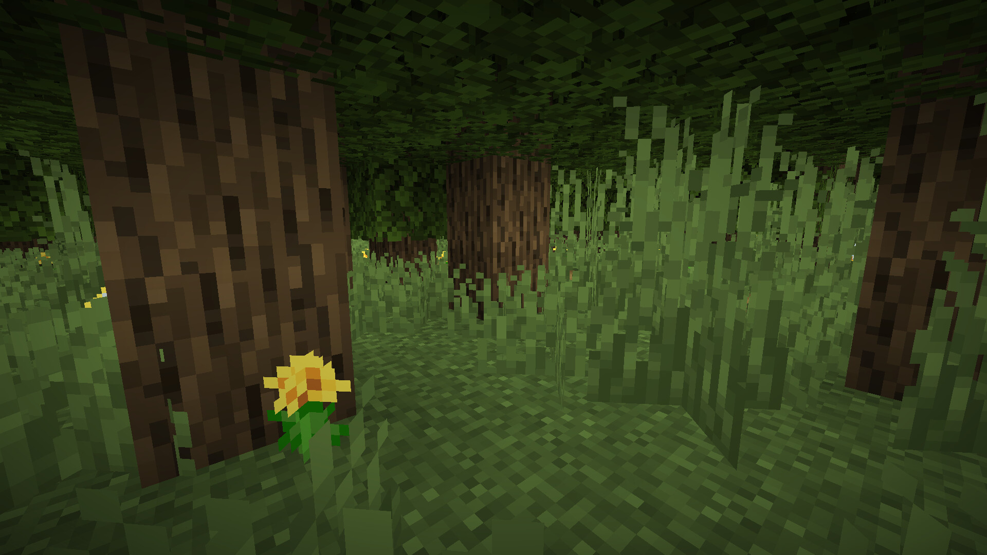 Find The Button Minecraft Map