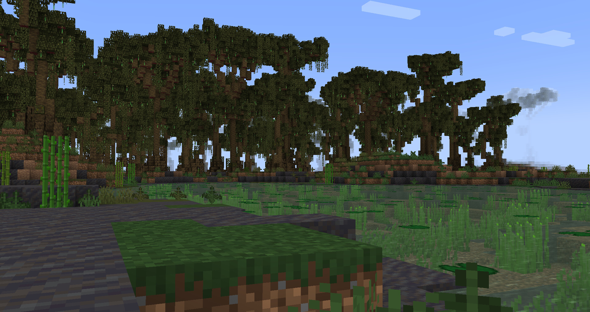 1.19 Minecraft | Custom Mangrove Minecraft Map