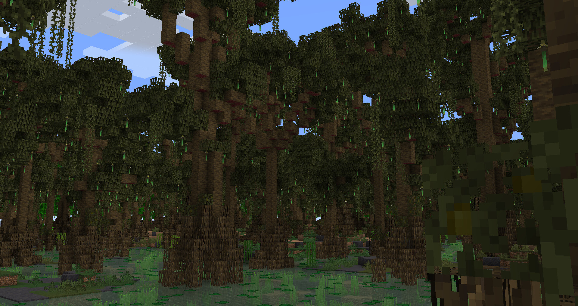 1.19 Minecraft | Custom Mangrove Minecraft Map