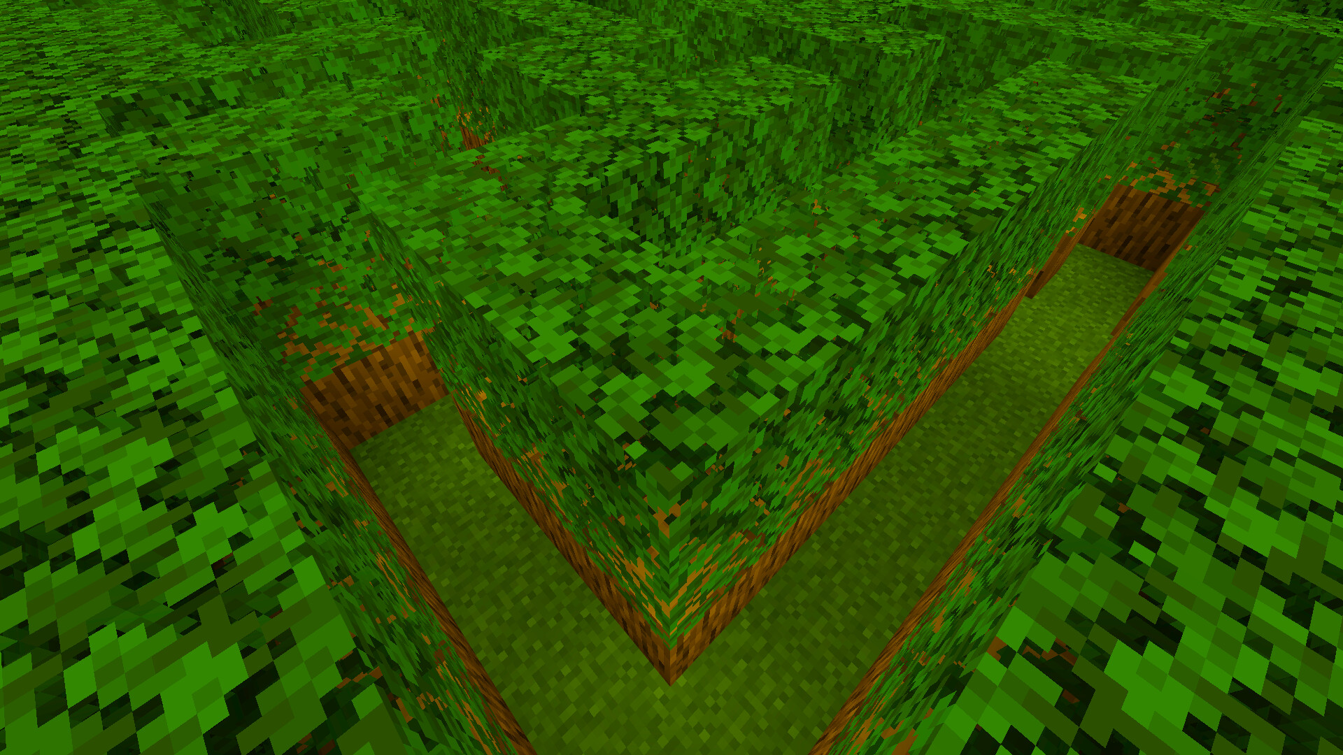 The Maze Minecraft Map