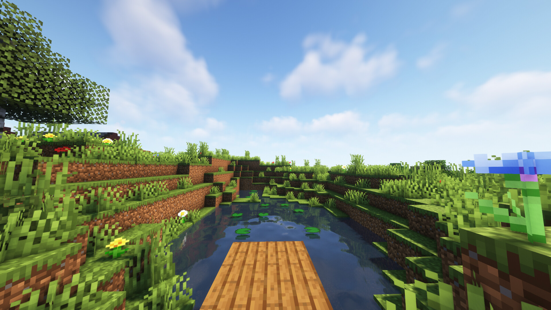 Village Minecraft Map