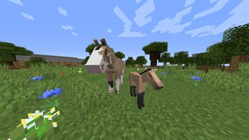 Swem Minecraft Maps | Planet Minecraft Community