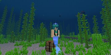 Mermaid Minecraft Maps | Planet Minecraft Community