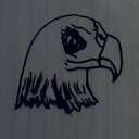 Bald eagle image (Handrawn Minecraft Map