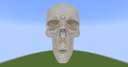 Large Skull - Schematic Minecraft Map
