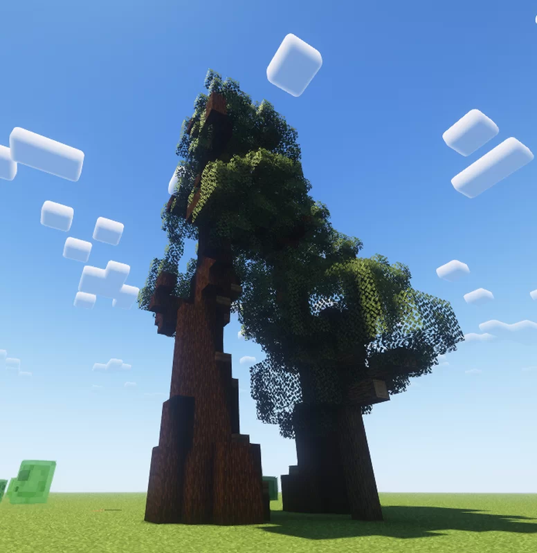 toroto tress Minecraft Map