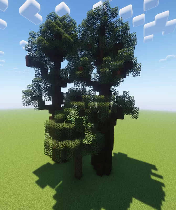 toroto tress Minecraft Map