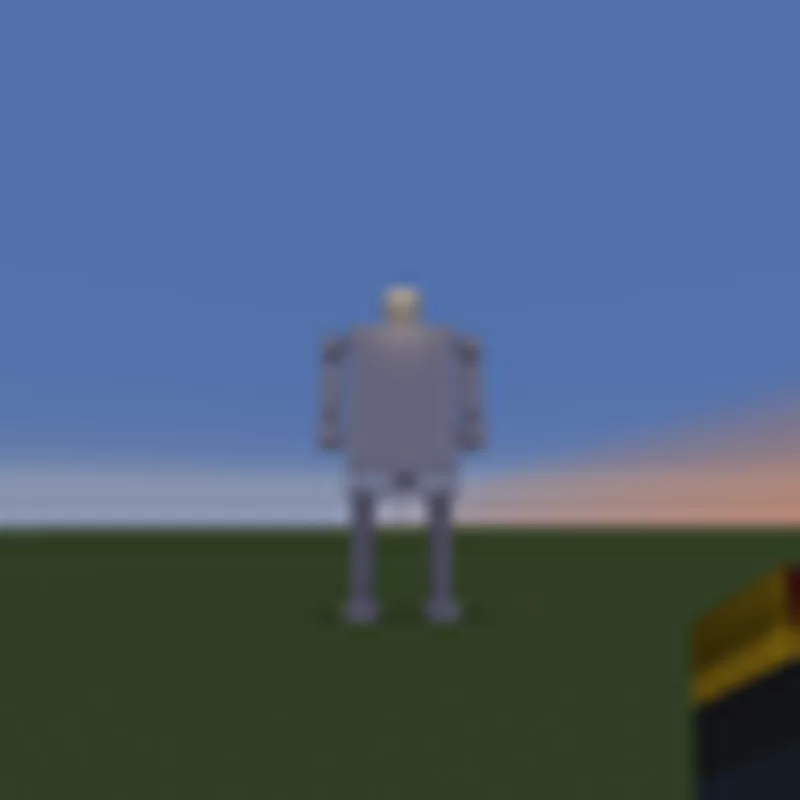 Endo Skelleton Minecraft Map