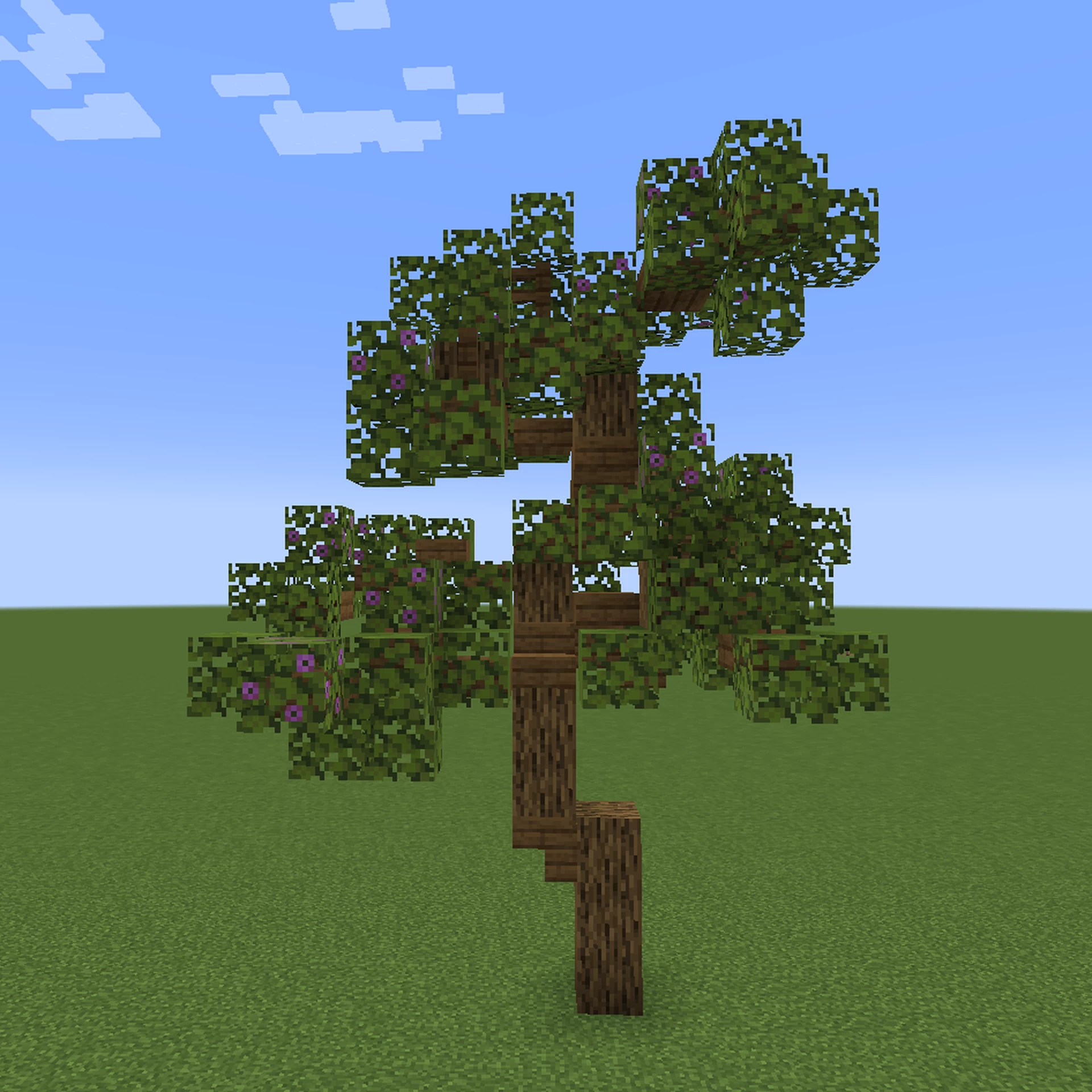 Acacia Tree Minecraft