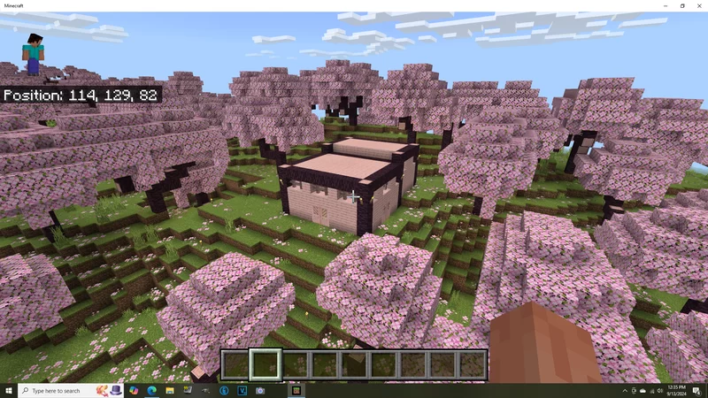 The Pink Forest Starting House for videos and other things for Bedrock ...