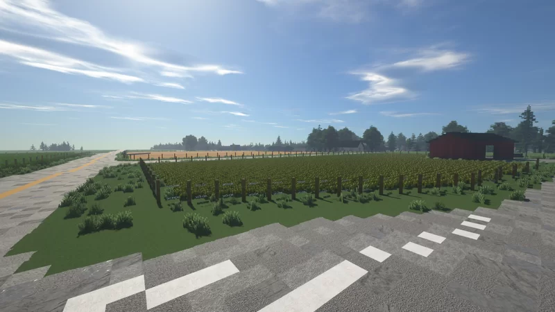 Rural Town Minecraft Map