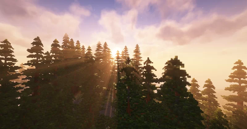 Redwood forest Minecraft Map
