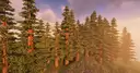 Redwood forest Minecraft Map