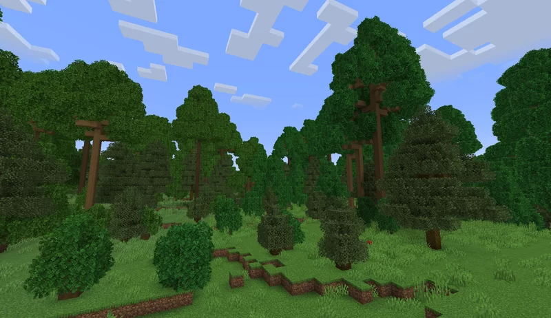 Trees of Europe & the Mediterranean | Survival-friendly Schematic Pack ...