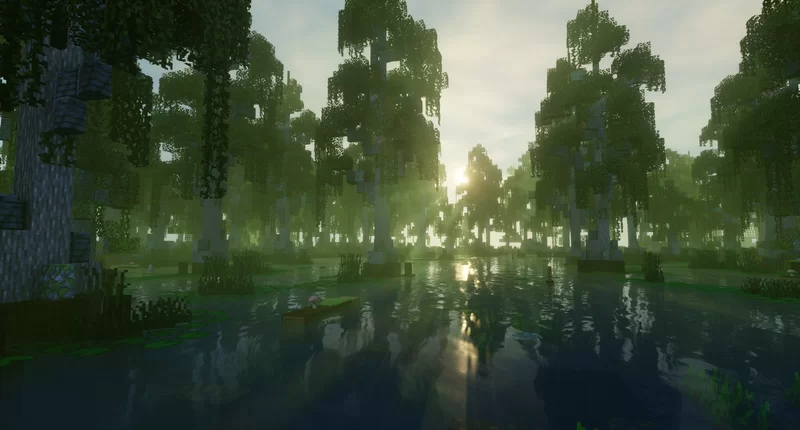 Swampy Bayou Minecraft Map
