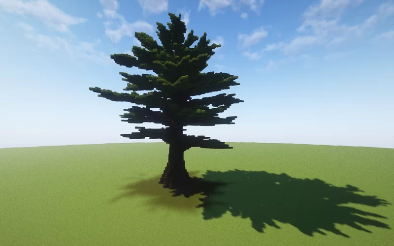 Dawn Redwood Tree Minecraft Map