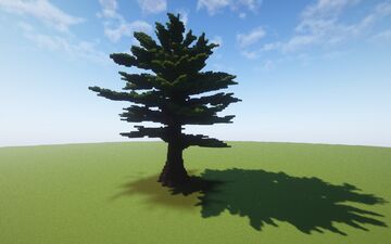 Tree Minecraft Maps | Planet Minecraft Community