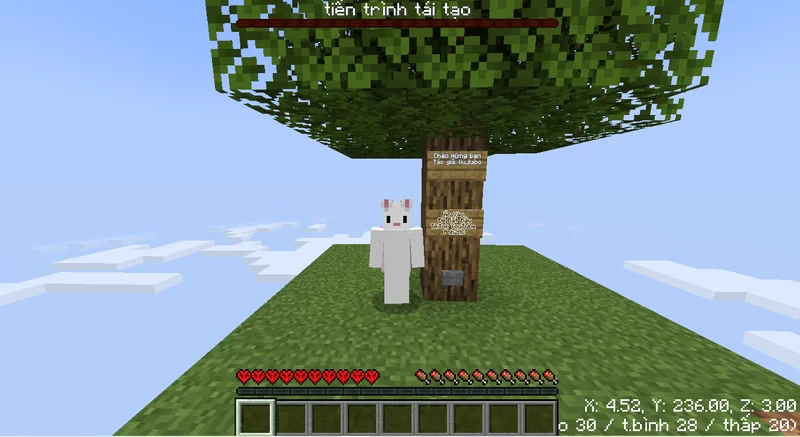 skyblock 180s java edition Minecraft Map