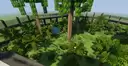 Four Enclosures for Dinosaurs (Jurassic World) Minecraft Map