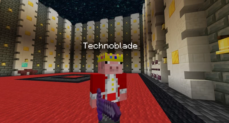 PVP Training with Technoblade. Minecraft Map