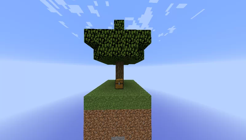 5x5 Block! Minecraft Map