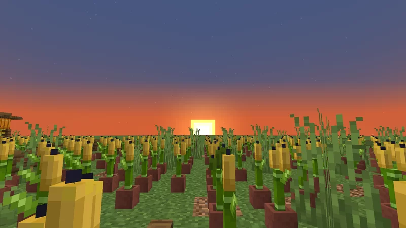 Cornfield Minecraft Map