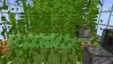 Bamboo Farm 1.21 Minecraft Map