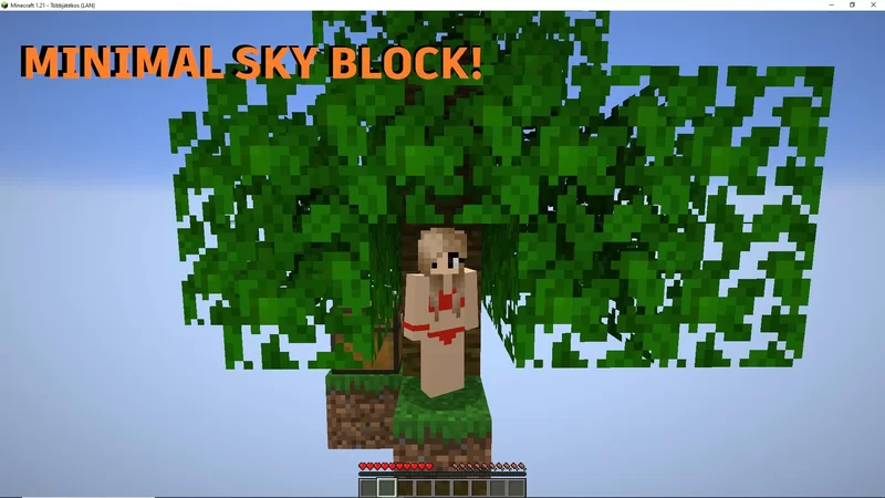 MINIMAL SKY BLOCK (java V1.21) Minecraft Map