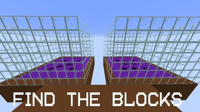 Find The Blocks Minecraft Map