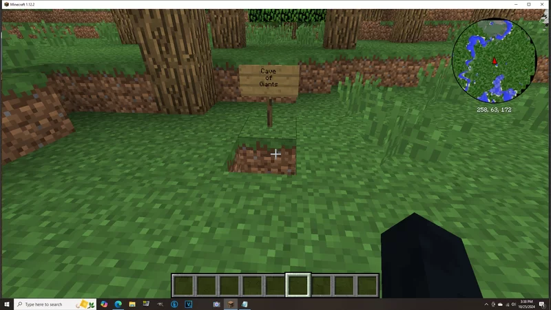 Cave with Two Giant Trees for Java minecraft v 1.12.2 Minecraft Map