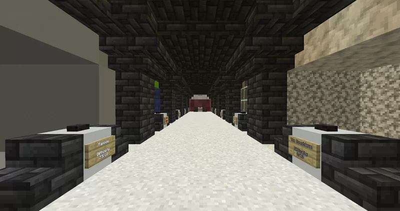 Perplexing Pathways Minecraft Map