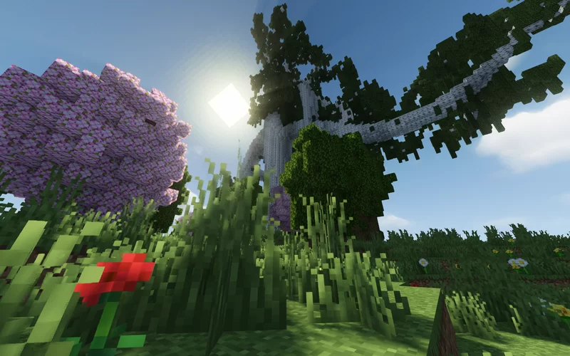TREE LOBBY Minecraft Map