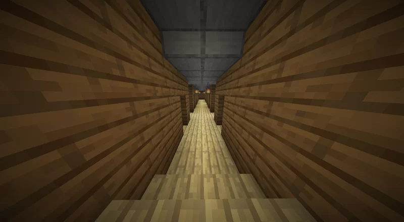 the basement Minecraft Map