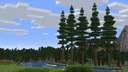 Pine Trees - with schematics (litematica) Minecraft Map