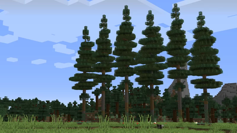 Pine Trees - with schematics (litematica) Minecraft Map