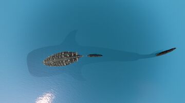 Jaws Minecraft Maps | Planet Minecraft Community